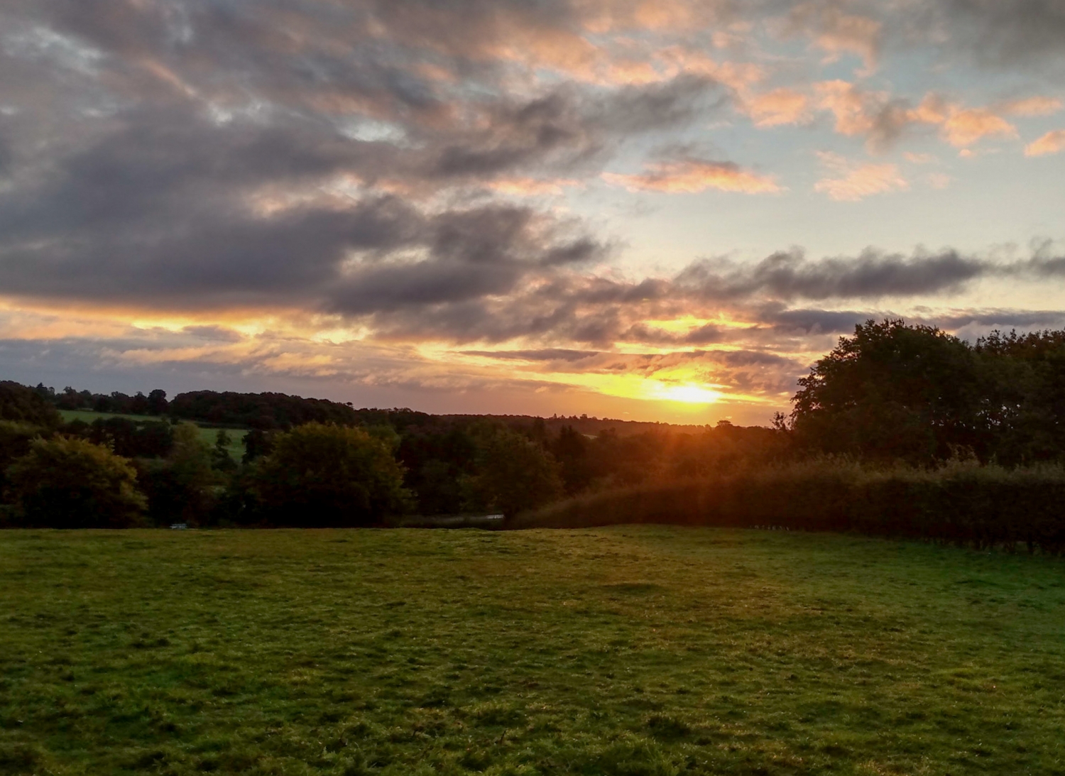 My Circadian Revelation - Babacool